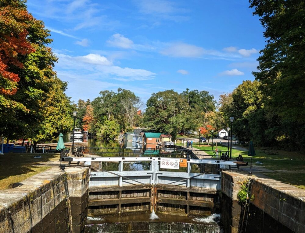 Interview with Natalie Preddie from The Adventures of Natty P